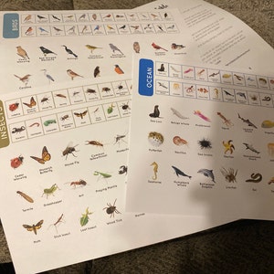 Push Pin Poke Montessori Fine Motor Skills Printable Cards - Etsy