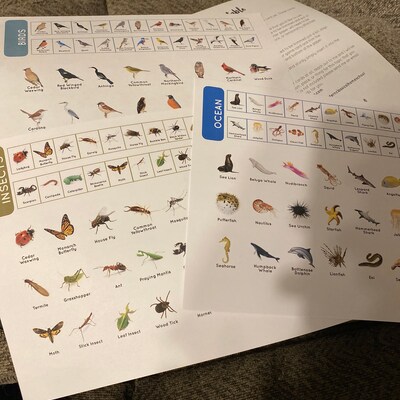 Bugs/ Insects Printable Guessing Game Insert Card Set - Etsy