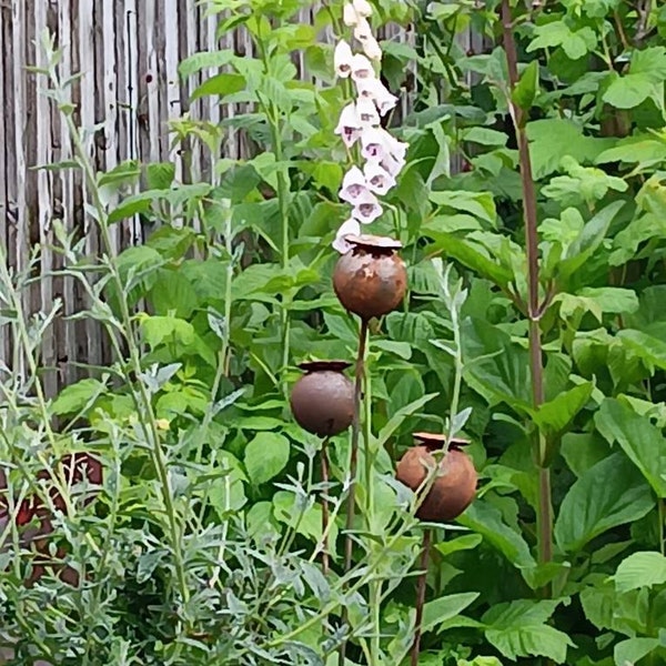 Large Metal Poppy Seed Heads. Rusted Sculptures for the Garden. Garden ...