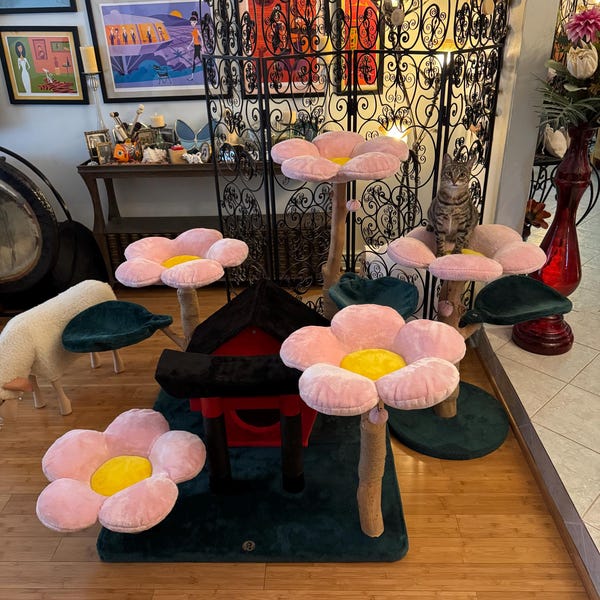 HEXAFLORA Wood Cat Tree Tower, Wooden Cat Tower, Modern Cat Climbing ...