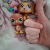 LPS Littlest Pet Shop Kitten Cat 1301 stains Hasbro Authentic - Etsy