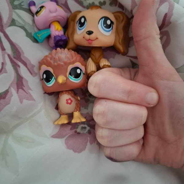 LPS Littlest Pet Shop Persian Cat 1159 Hasbro Authentic - Etsy