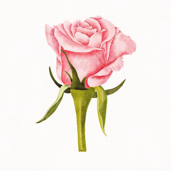 Rough & Dreamy Watercolor Kit for Procreate 2026 - Etsy