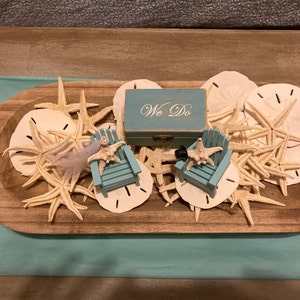 1 to 100 Astrea Calcar Turban Spurred Shells Natural Cream | Etsy