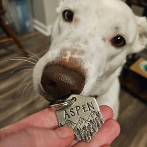Mini Dog Tag for Dogs, the Bean, Dog Tag, Kidney Bean, Personalized ...
