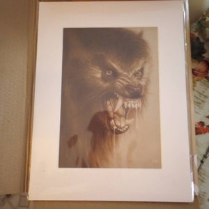 Limited Print of My Pastel Drawing of Sarah and the Fireys From ...