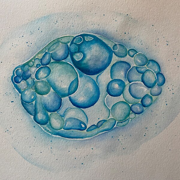 Custom Embryo Watercolor Painting - Etsy