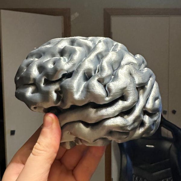 Matte Pink Life Size Brain Replica - Etsy