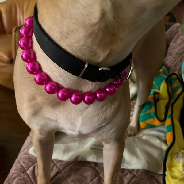 Pink Fizz Dog Bead Collar, Fancy Dog Pearl Necklace, Fuchsia Beaded Dog ...