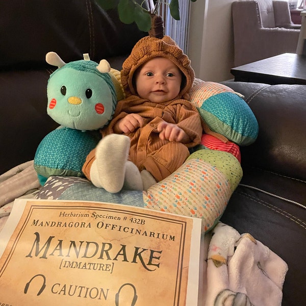 Realistic Mandrake Label, Printable Sticker Prop Potter Herbology - Etsy