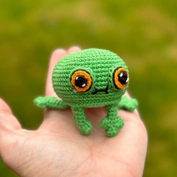 Toon Desert Rain Frog Crochet Pattern PDF – Cute Amigurumi Frog Plush ...