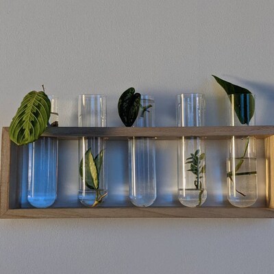 Extra Large Propagation Station With 2 Hooks Hang or Stand 5 or 10 ...