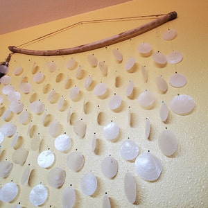Capiz Shell Wall Decor - Etsy