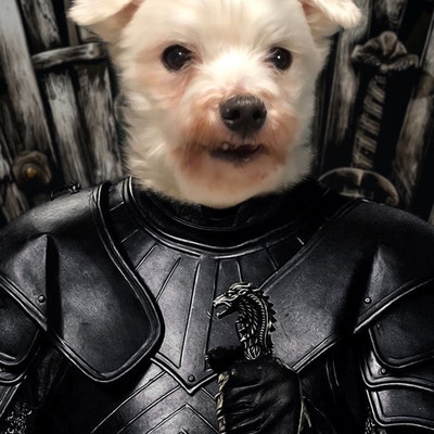Custom Pet Portraits,pet Portraits,game of Thrones Dog Potrait,funny ...