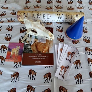 TOPTIE 100 Pcs Custom Printed Thunder Sticks Noisemakers - Etsy