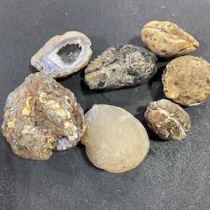 Unopened Brazilian Enhydro Geode - Etsy