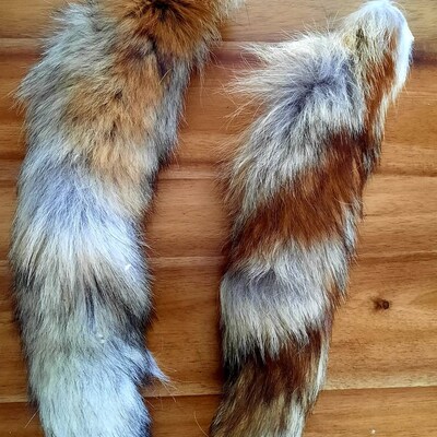 Stripes of Arctic Fox Fur Are Beige With Black Splashes Scrap Fur Fox ...