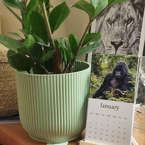 Cavapoo Calendar 2025: Monthly Wall Calendar With Notes, Opens to A3 ...