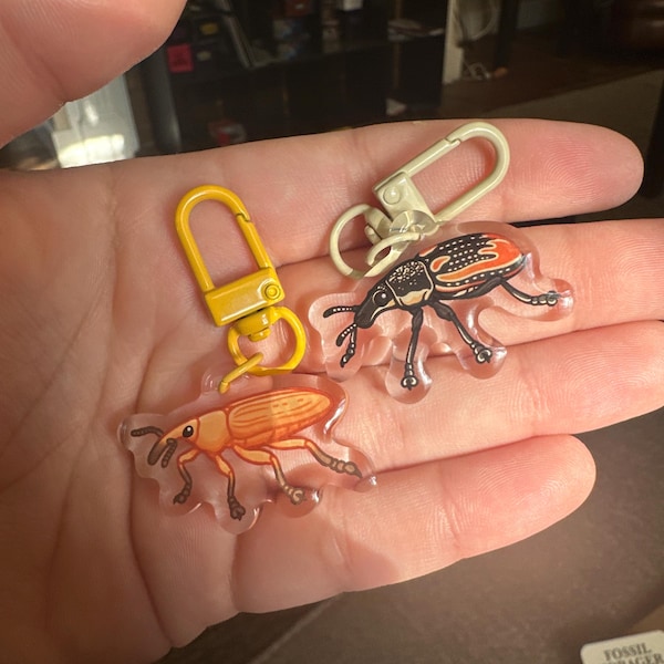 Number 1 Bug Enthusiast Iron-on Patch / Entomologist / Entomology ...