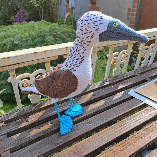 CROCHET PATTERN Blue-footed Booby Bird - Etsy