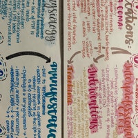 Pyelonephritis Nursing Notes/ Concept Map Medical Surgical - Etsy