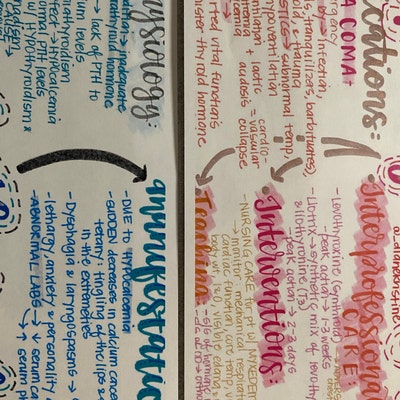 Diabetes Nursing Notes/ Concept Map Medical Surgical Semester - Etsy