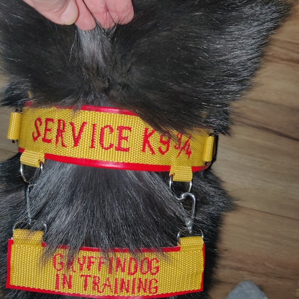 Cape Tab Custom Attaches to Dog Harness - Etsy