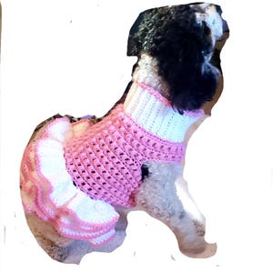 CROCHET PATTERN, Crochet Dog Jumper, Pet Tutu, Crochet Dog Sweater ...