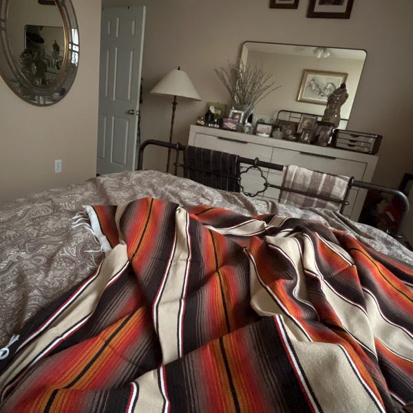 Premium Saltillo Serape Striped Earth Tones Fringed Throw Blanket by ...