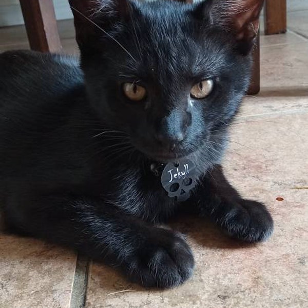 Personalized Bat Pet Tag or Human ID Tag, Perfect Tag for Cats, 10 ...