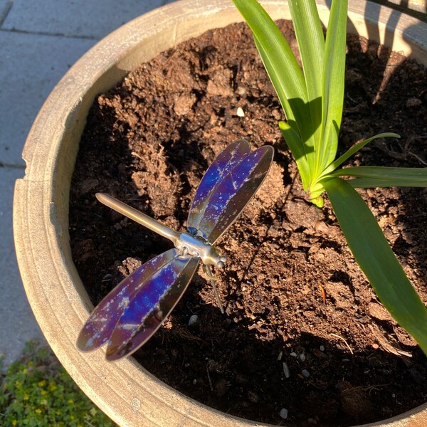 Gloss Black Spider. Made From Stainless Steel Dome Nuts. Scary ...