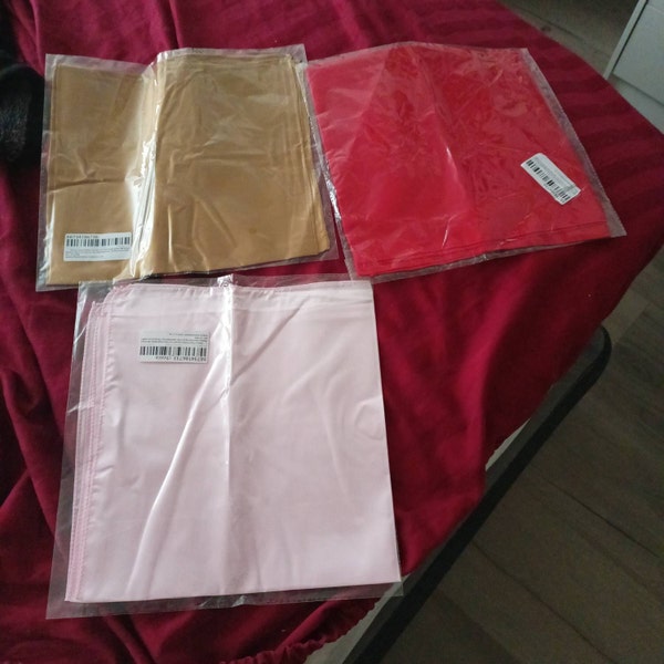 Large Rose of Jericho Resurrection Plant Rosa De Jerico Reviving House ...