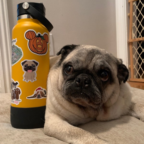 Mini Pug Sticker - Pug Sticker - Pug Decal - Waterproof Vinyl Sticker ...