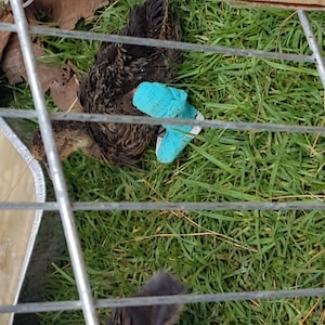 Duck Splint-customized to Your Size Needed SINGLE SPLINT - Etsy