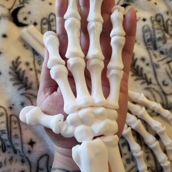 Skeleton Flexi Hand Flexible Articulated - Etsy