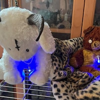 EMF Detector for Paranormal Investigations - K2 Meter - EMF Detector ...