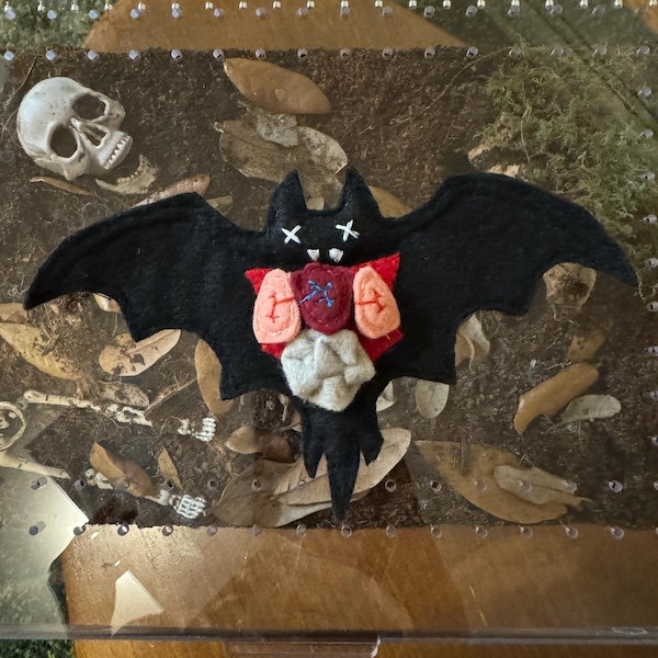 Chiroptera - Felt Anatomy - Biology, Gothic, Creepy, Cute, Halloween ...