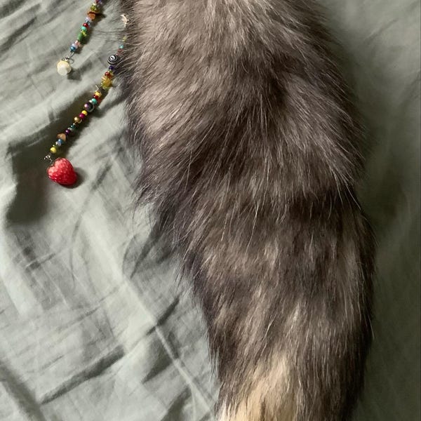 MORE LGBT Pride Beaded Tails for Therians Furries Alternative - Etsy