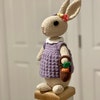 Benjamin Bunny Pattern- PDF - Etsy UK