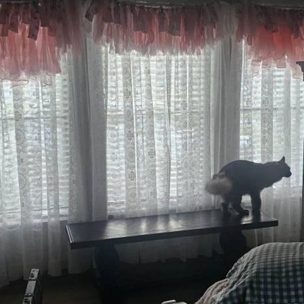 Silly Goose PNG Preppy Watercolor Clip Art Birthday Baby Shower ...