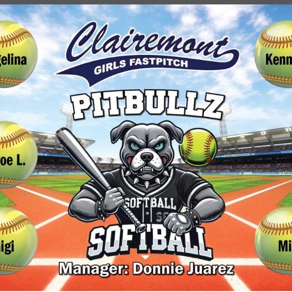 GO BUCKS Yard Letters Ohio State Buckeyes Football Yard Card Game Day ...