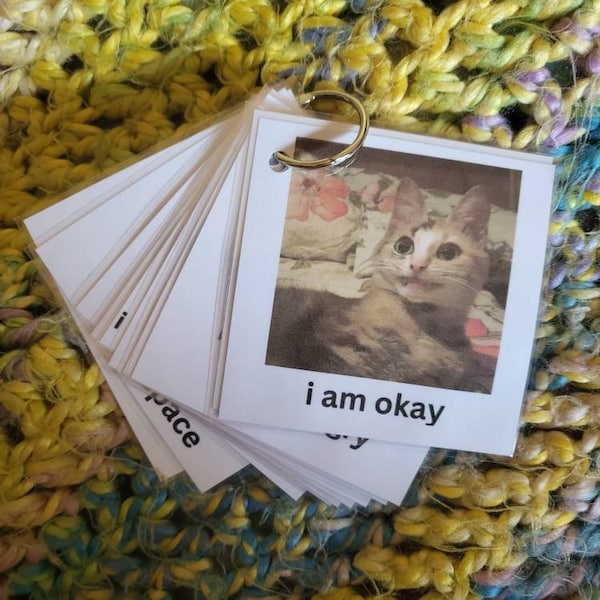 Silly Cat Themed Communication Cards (AAC, Nonverbal Aid, Autism ...