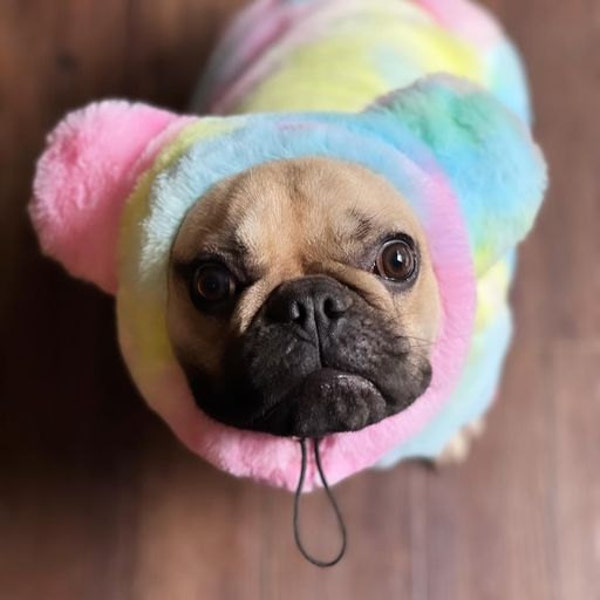 Frenchiestore Organic Dog Frenchie Ear Hoodie | Care Bear - Etsy