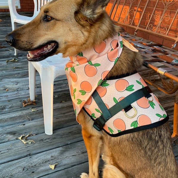 Peaches Fabric - Peaches Polka Dots on Peach by Littlearrowdesign ...