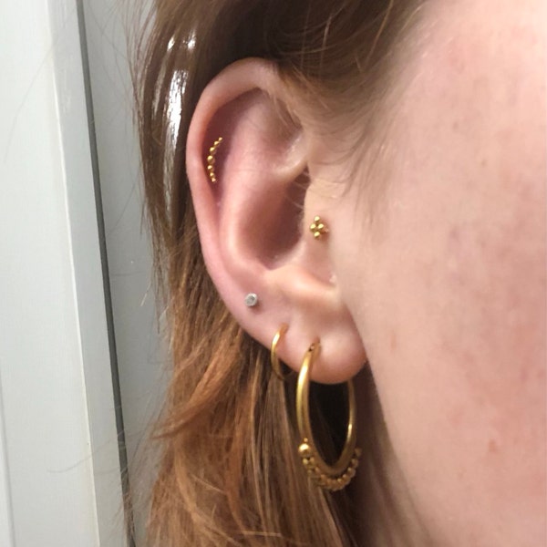 Gold Implant Grade Titanium Curved Beaded Labret for Conch, Flat ...