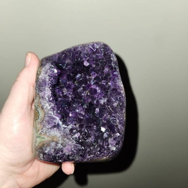 Flash Sale BEAUTIFUL RAINBOW Arizona Petrified Wood Slab Polished both ...