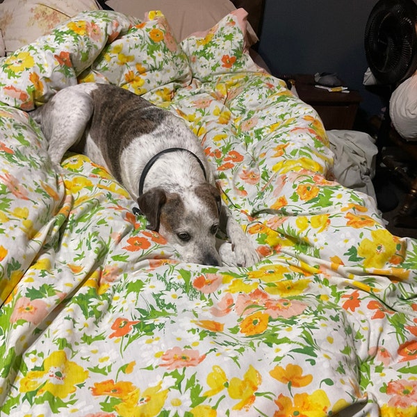 Duvet Cover: Gorgeous Sears Pink Purple and White Floral Duvet Cover ...