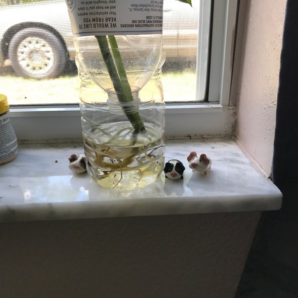 Chicken Ceramic Miniature Blue Chicken Terrarium Figurine Pottery ...