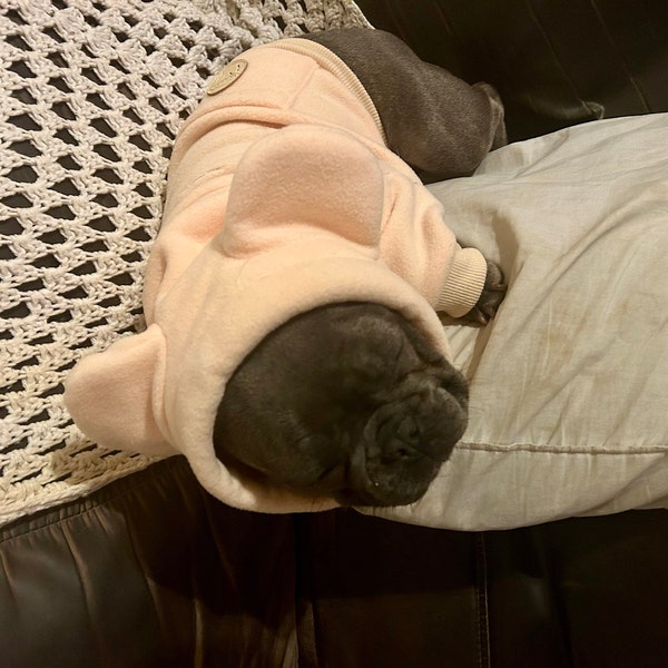 Frenchiestore Organic Dog Frenchie Ear Hoodie | Polar Bear - Etsy
