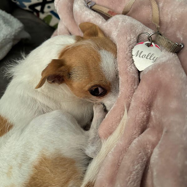 John Rambo Stainless Steel Military Dog Tag Set Movie Prop Halloween ...